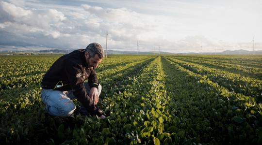 The importance of fertilizer in modern agriculture | Yara International